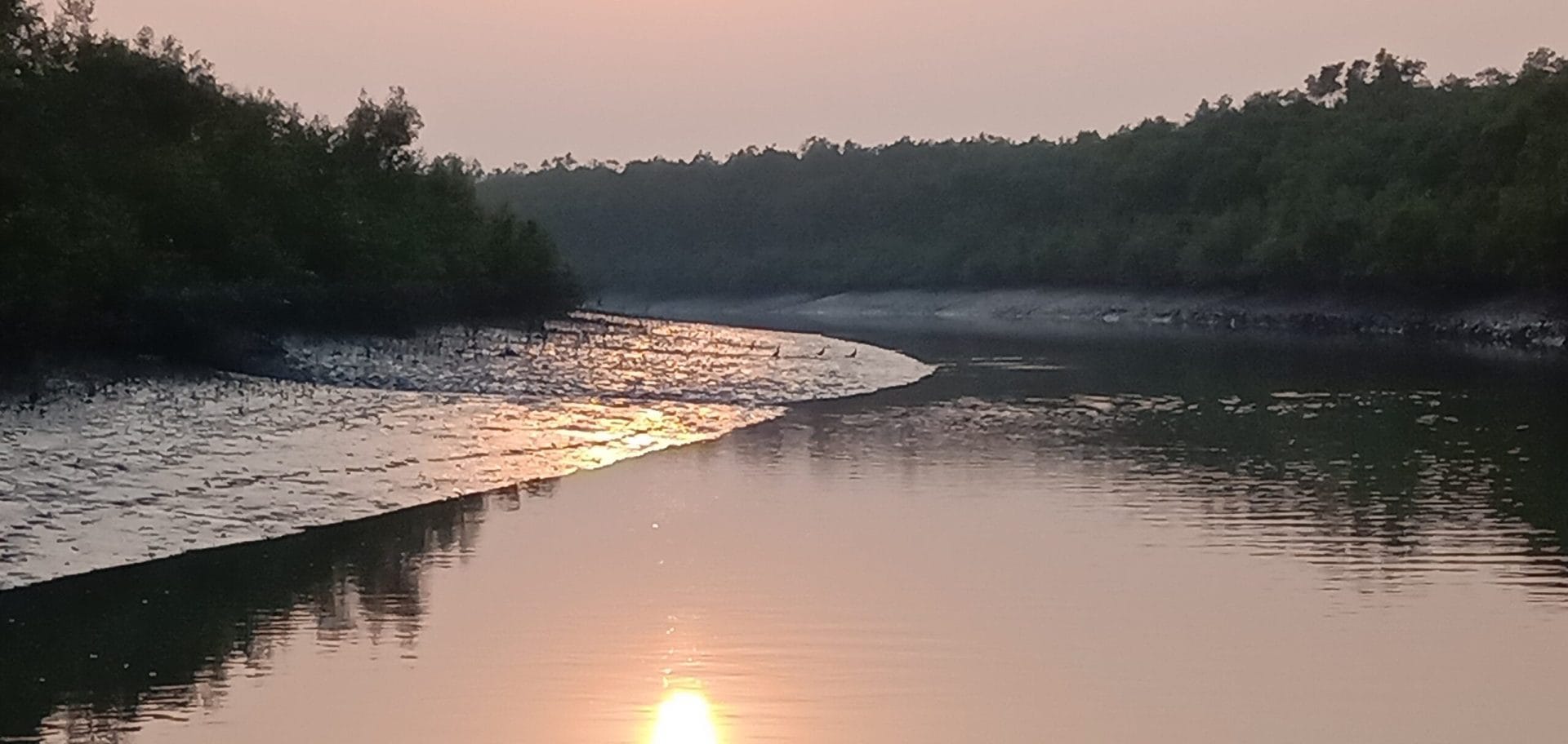 Sundarban Day Tour | Explore 1 Day Sundarban Nature Beauty